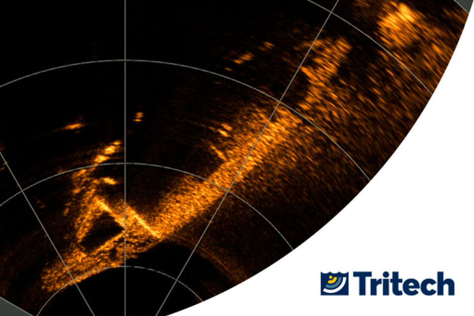 Multibeam Imaging Sonar Gemini 1200ik - Tritech